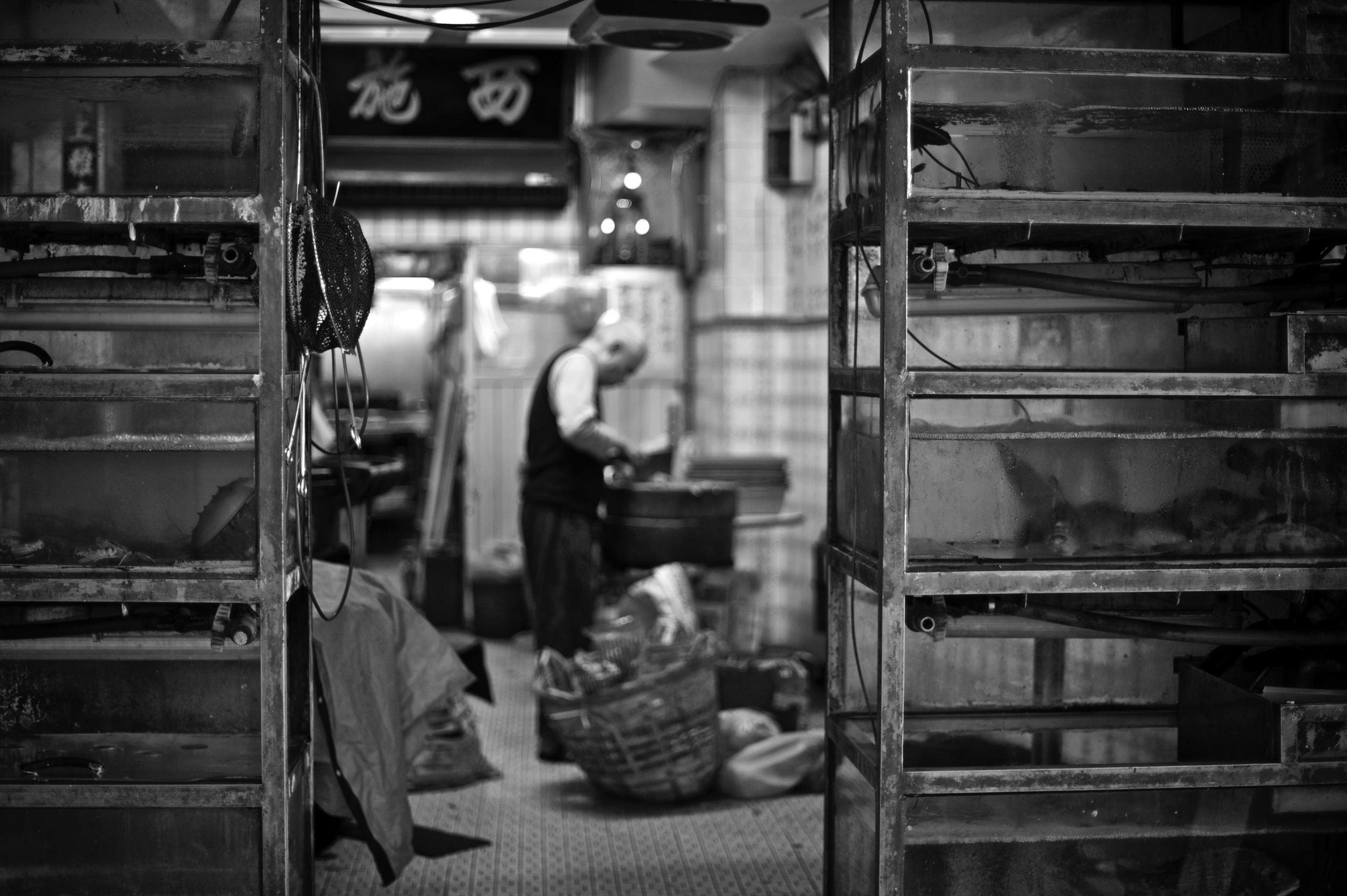 Gallery | Runacres @ Large | David Runacres