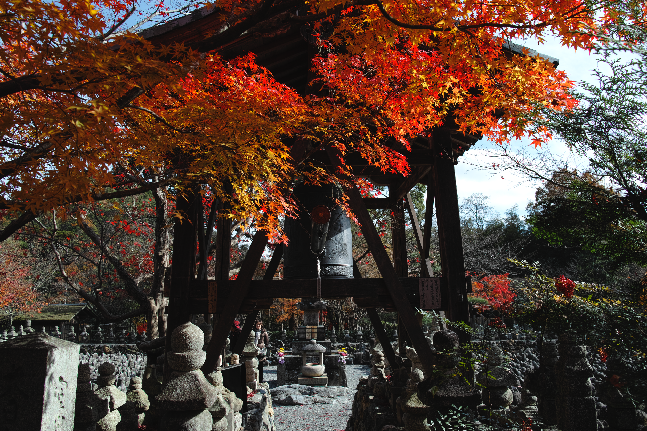 Gallery | Runacres @ Large | David Runacres