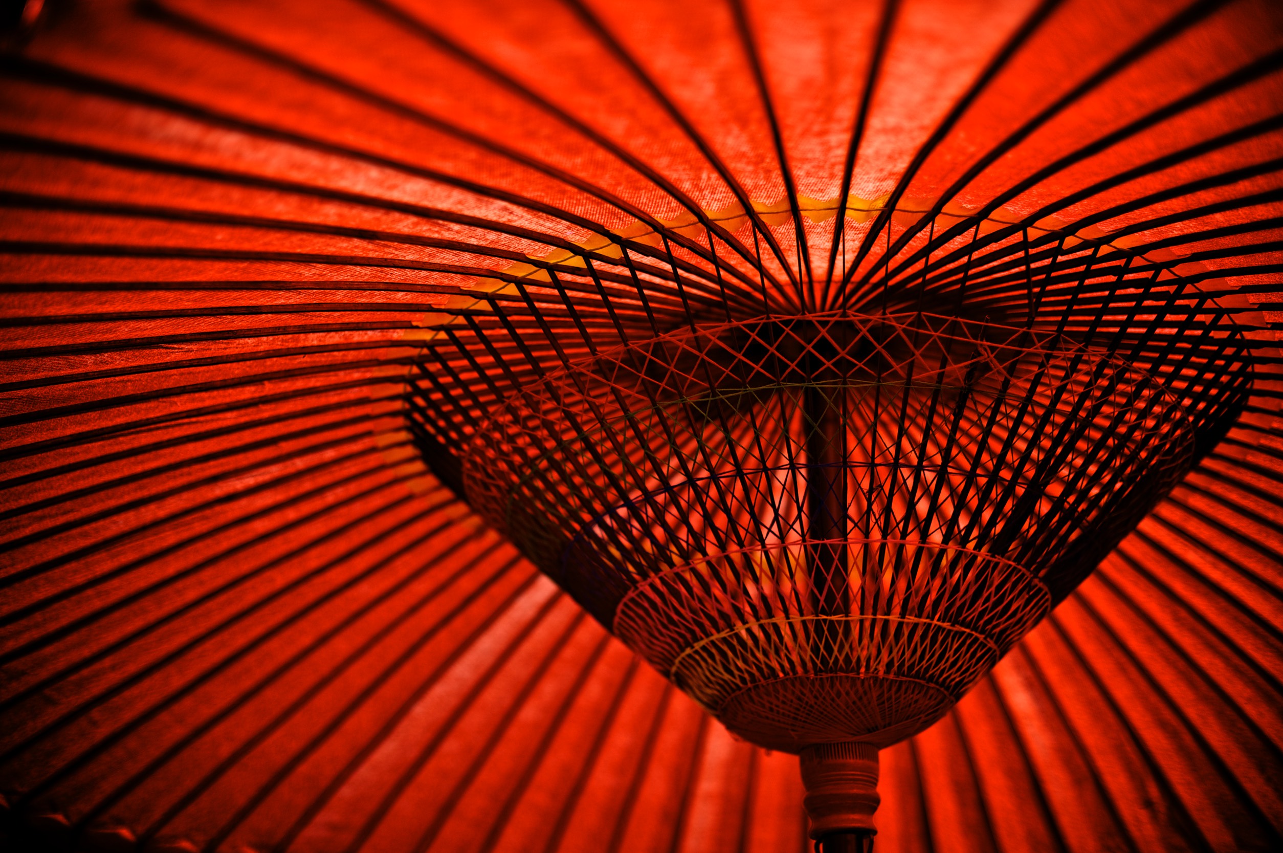 Gallery | Runacres @ Large | David Runacres