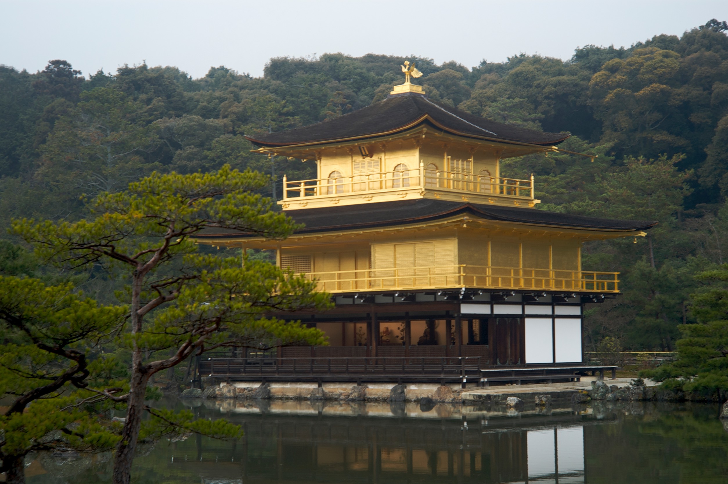 Gallery | Runacres @ Large | David Runacres