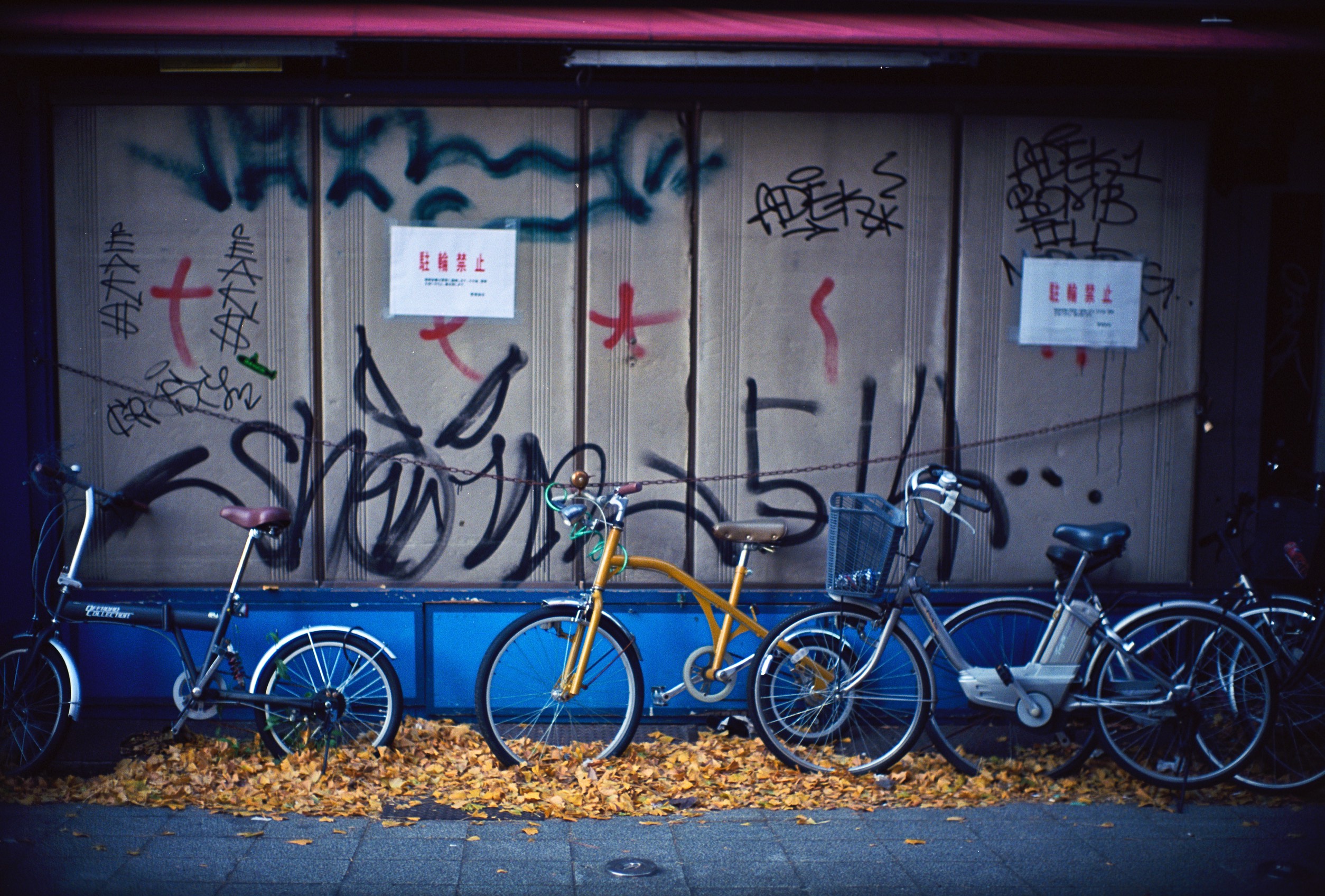 Gallery | Runacres @ Large | David Runacres