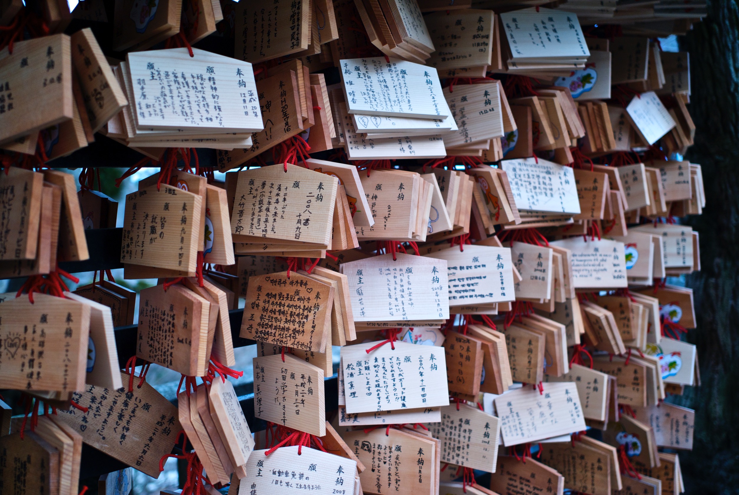 Gallery | Runacres @ Large | David Runacres