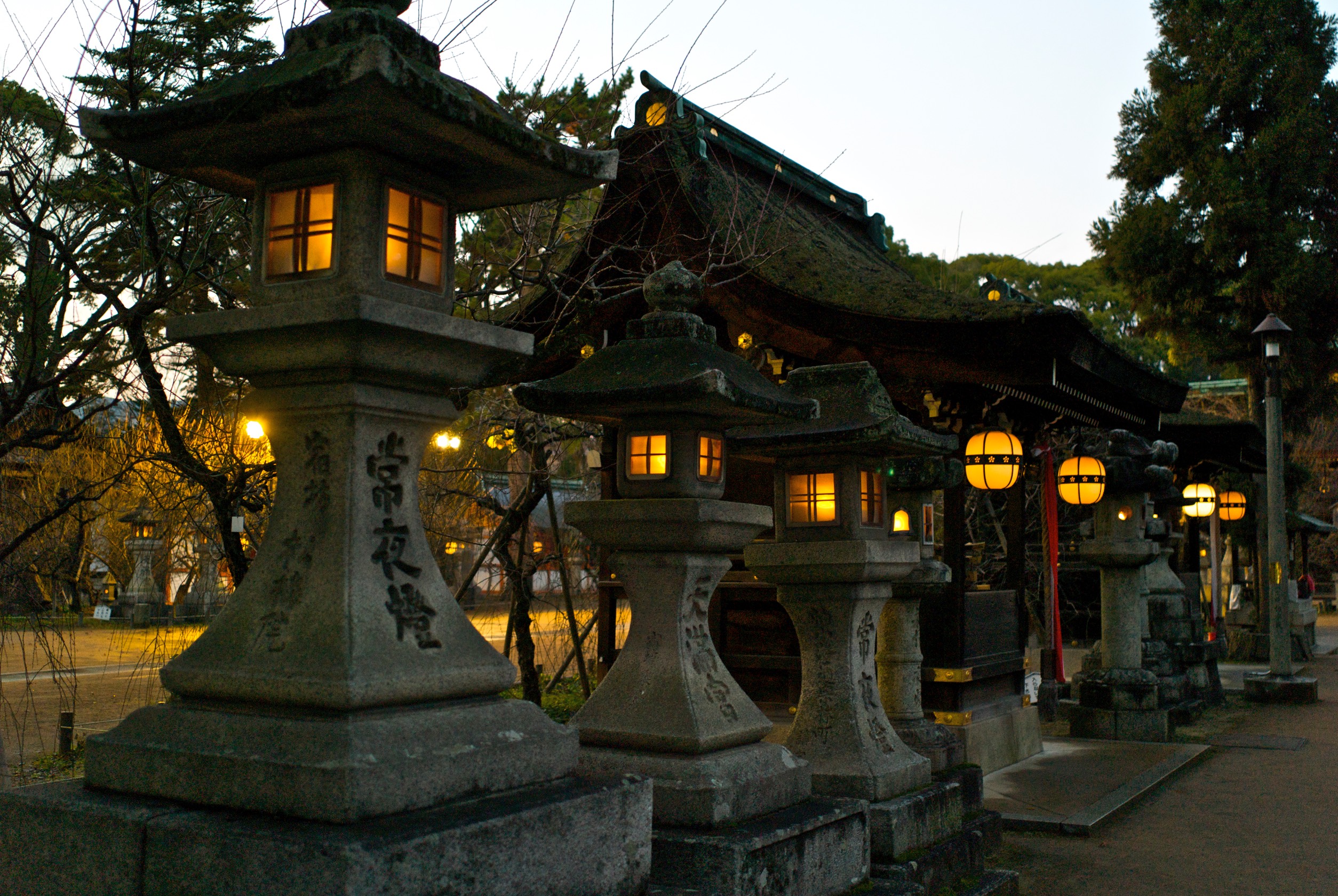 Gallery | Runacres @ Large | David Runacres