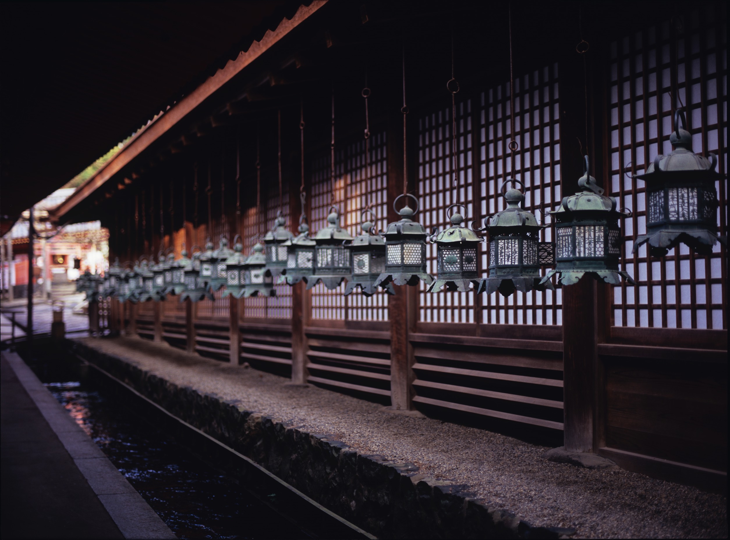 Gallery | Runacres @ Large | David Runacres