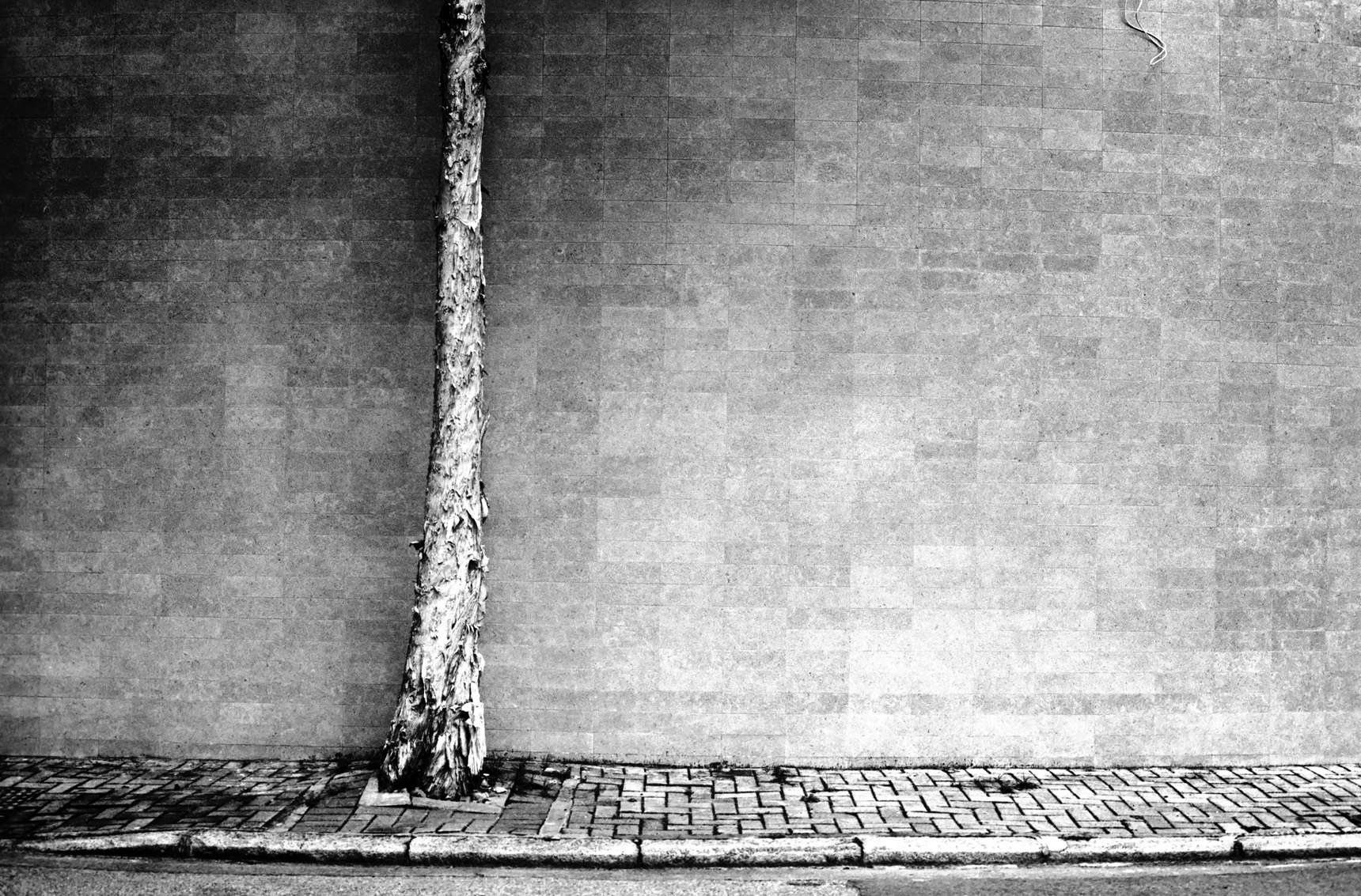 Gallery | Runacres @ Large | David Runacres