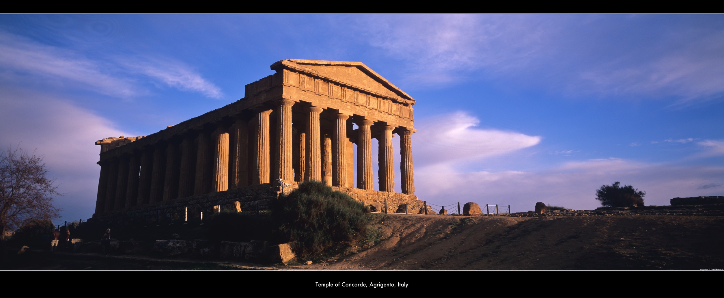 Gallery | Runacres @ Large | David Runacres